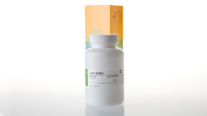 Lysis Buffer