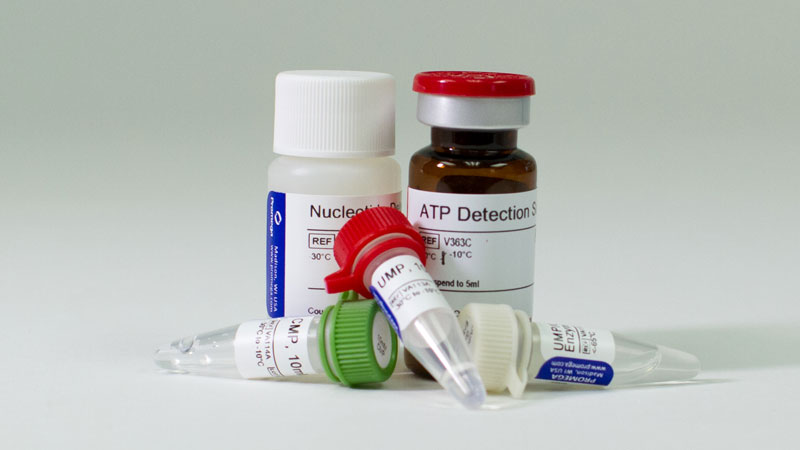 UMP/CMP-Glo™ Glycosyltransferase Assay